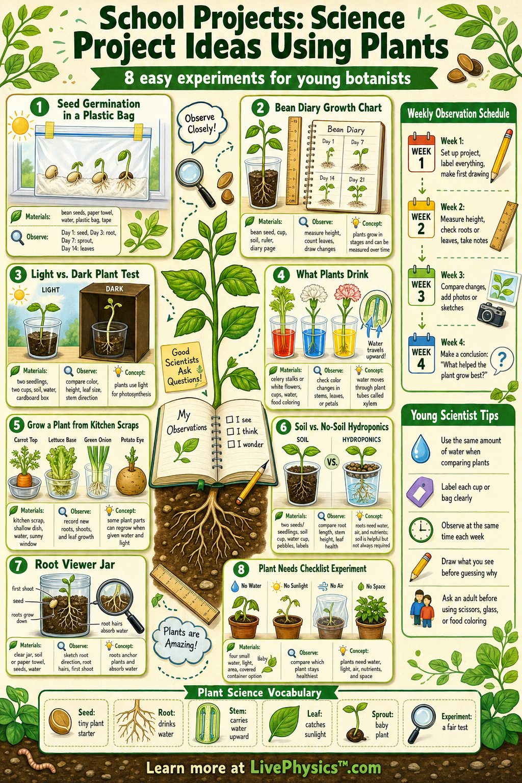 Science Project Ideas Using Plants Infographic | LivePhysics™